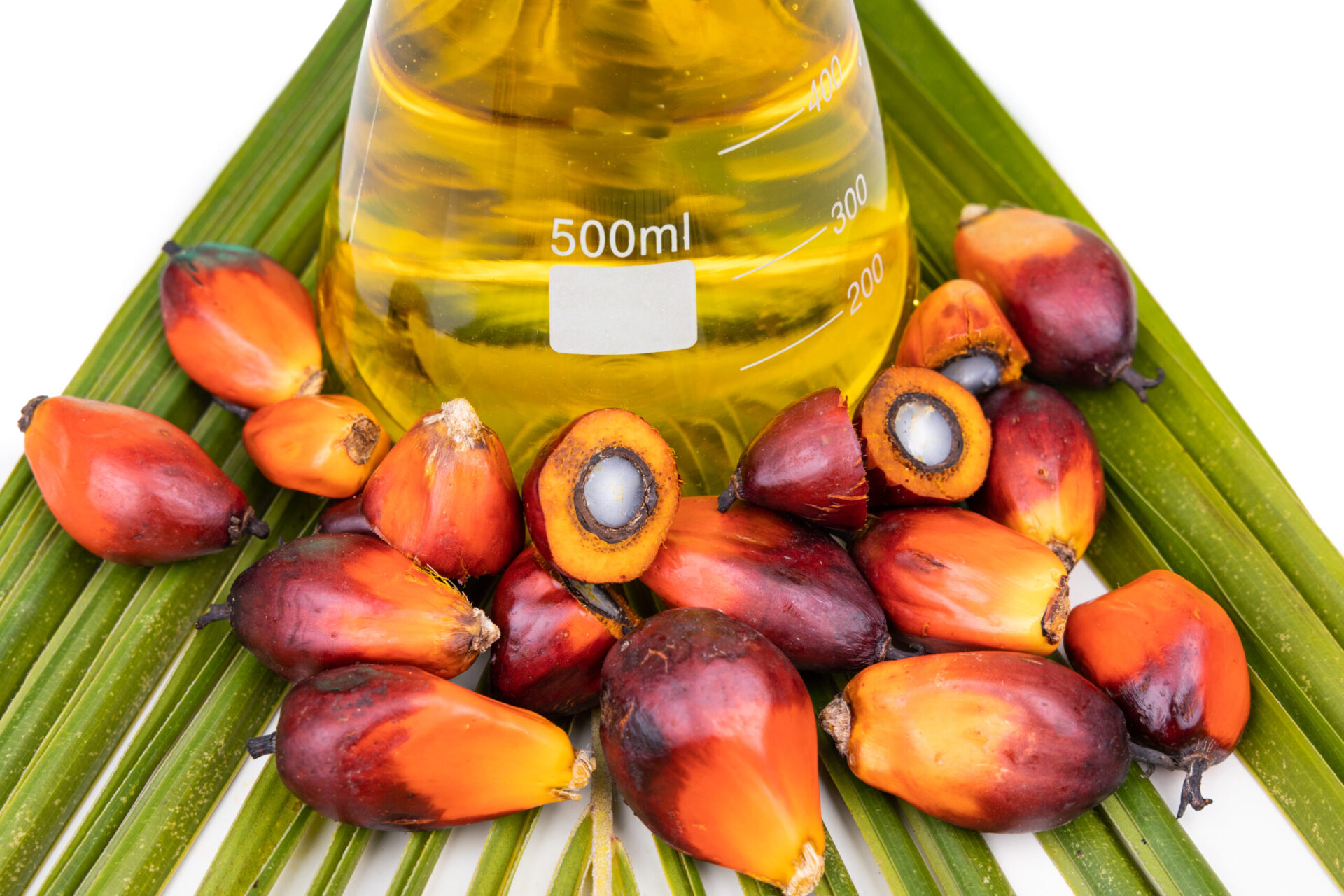 Palm Oil (CP10) - ARK Trading